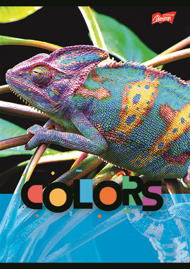 Zeszyt EXOTIC COLORS A5, 32 kartki, krata | St.Majewski Zeszyt EXOTIC COLORS A5, 32 kartki, krata | St.Majewski